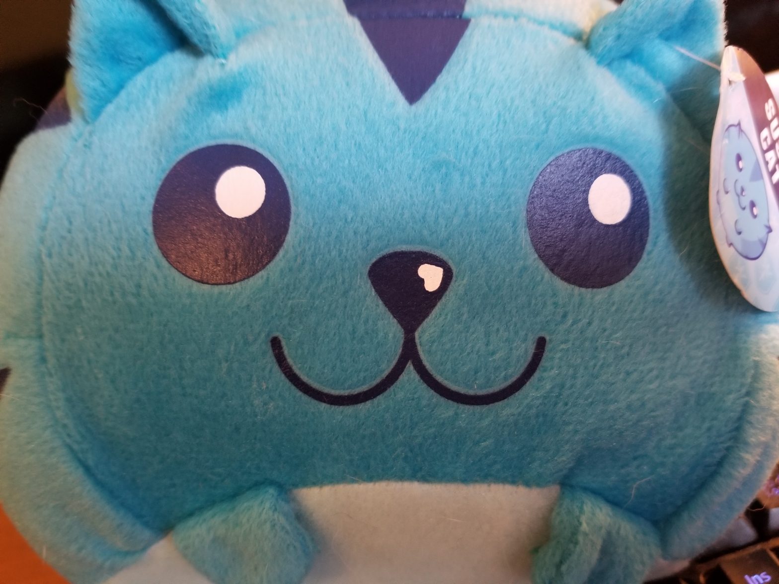 Now Available: Sushi Cat Words